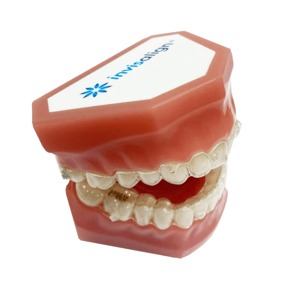 MANEQUIM INVISALIGN CLASS II - Invisalign